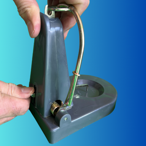 Black Cat Rat Trap - Genuine & Effective | Pest Interceptors – PEST ...