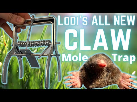 Mole Traps - Professional mole traps available to you! – PEST INTERCEPTORS